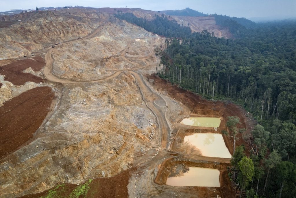 Demi Teknologi Hijau, Hutan Orang Asli Di Indonesia Diancam Kemusnahan
